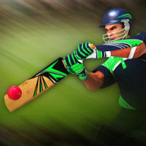 Cricket Batter - Play Cricket Batter On Retro Bowl Game